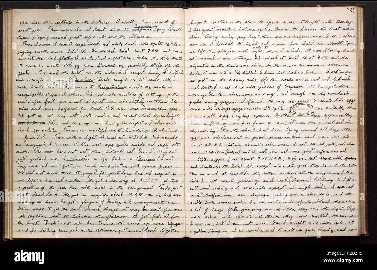 A journal documenting scientific observations and research across ...