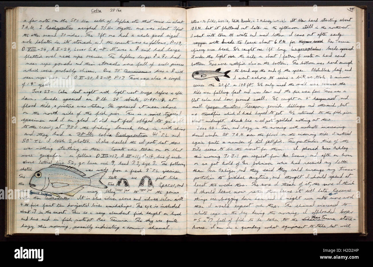 Pages 98 And 99 High Resolution Stock Photography and Images - Alamy