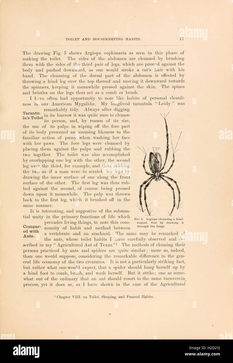 An exploration of American spider species, their silk production, and ...