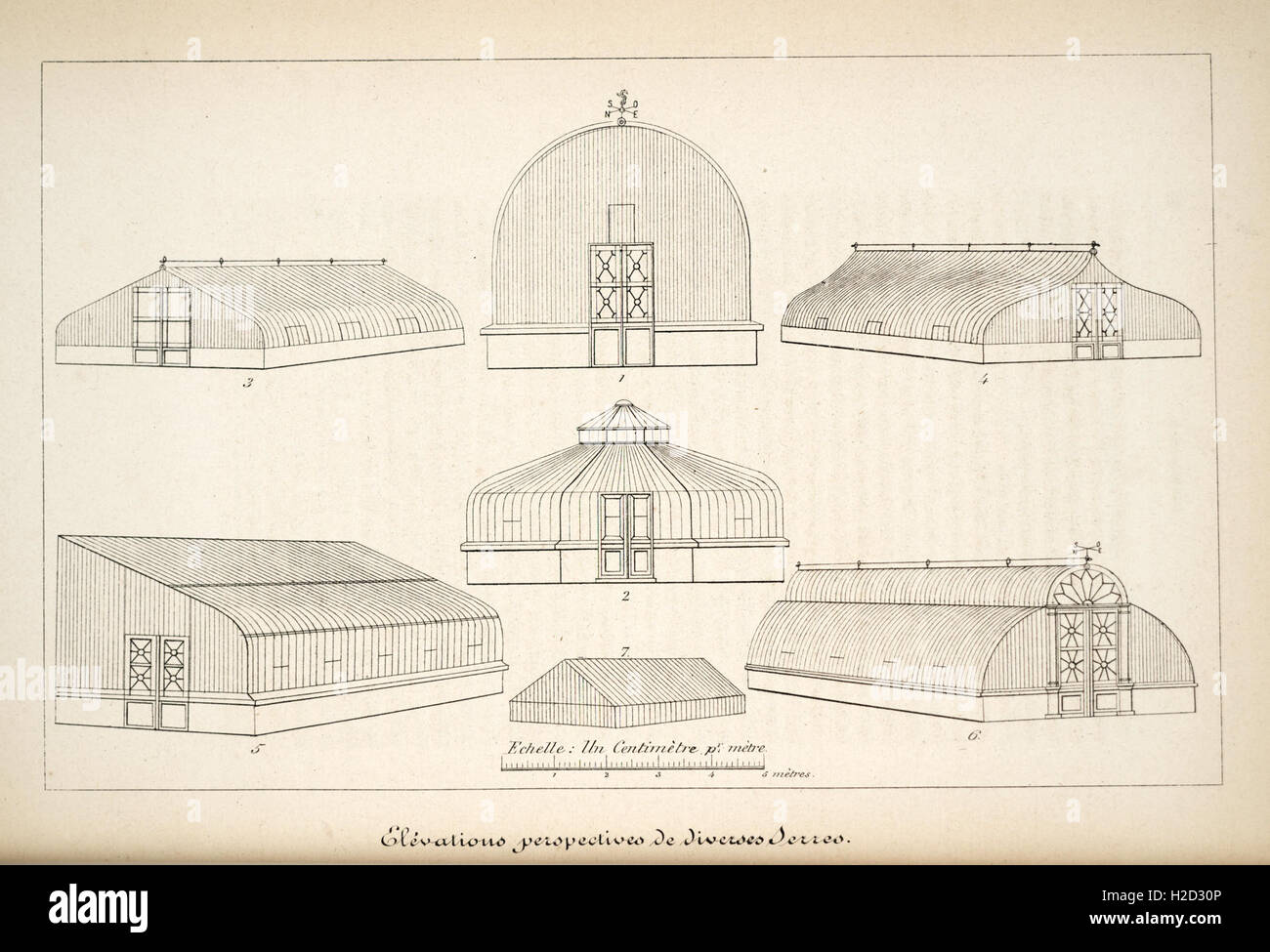 This volume of 'L'Illustration Horticole' includes comprehensive ...