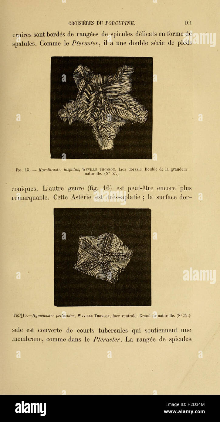 The Abysses of the Sea, illustrated with figures depicting deep-sea ...