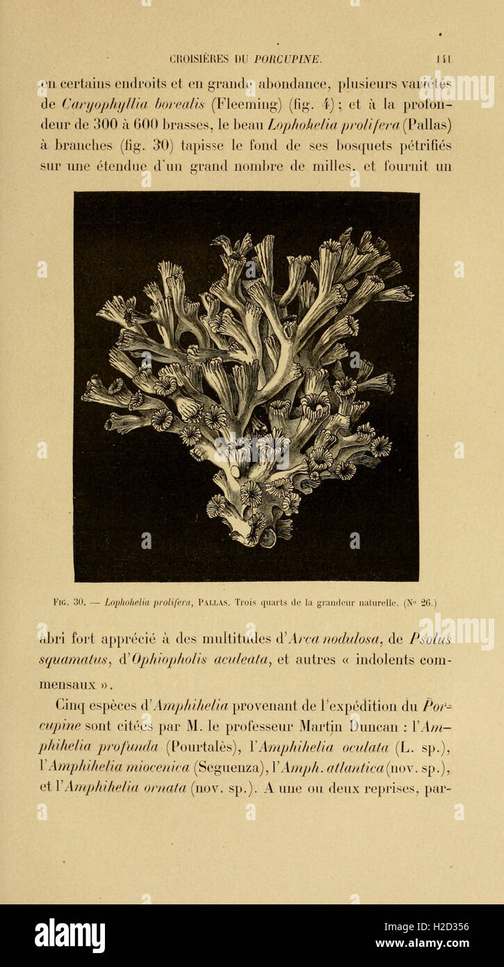 A study on the deep-sea environment, focusing on the physical and ...