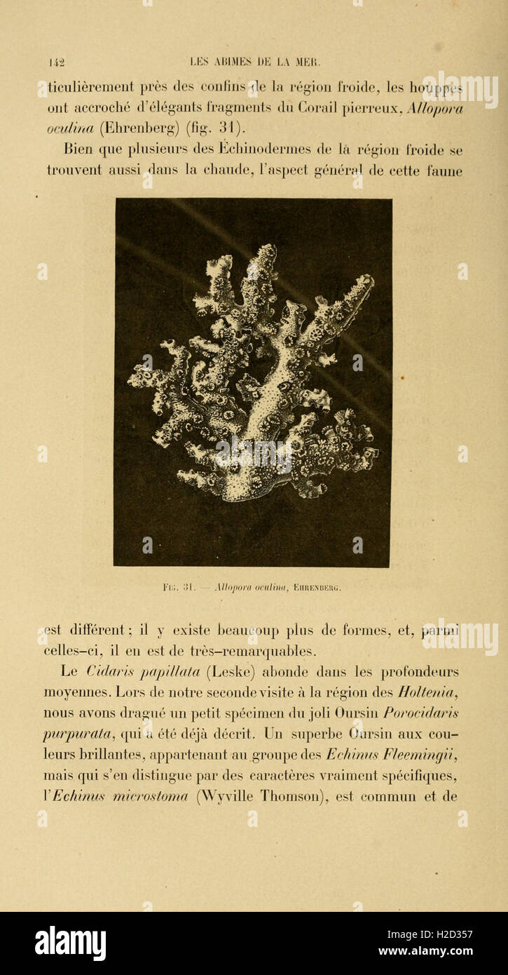 This page presents a visual representation and description of oceanic ...