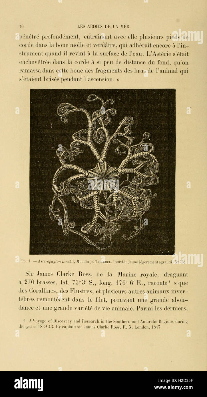 This work explores the deep sea environments, illustrated with figures ...