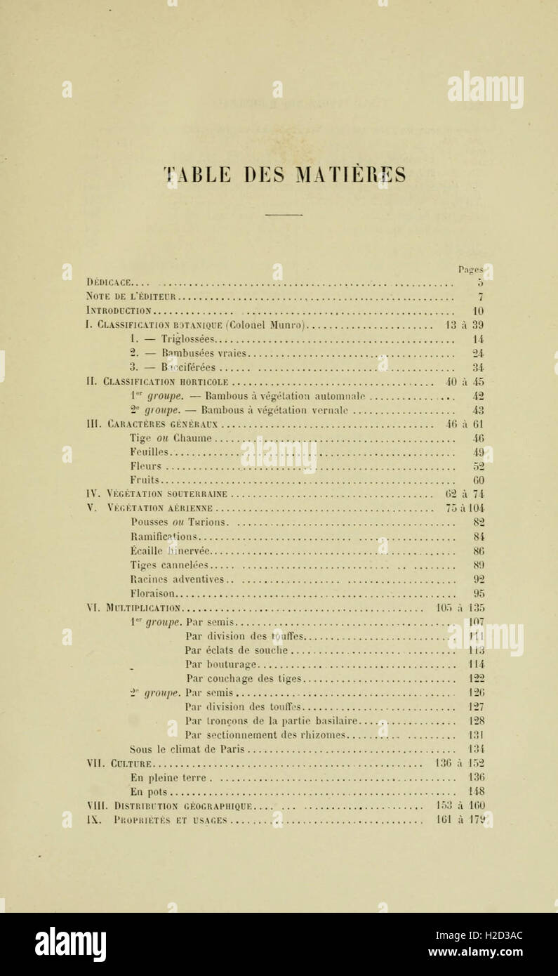 A botanical study on bamboo species, examining their characteristics ...