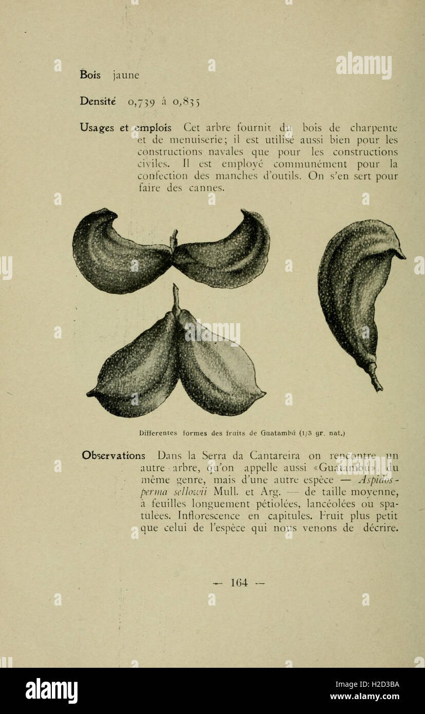 A study of the indigenous wood species of São Paulo, examining their ...