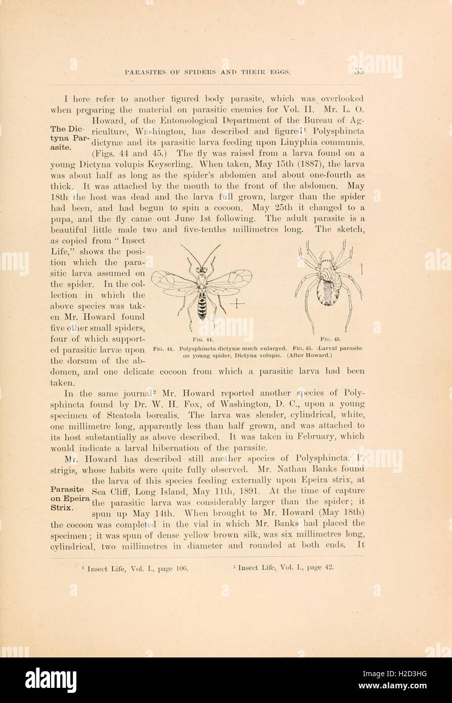 *American Spiders and Their Spinningwork* focuses on the study of ...