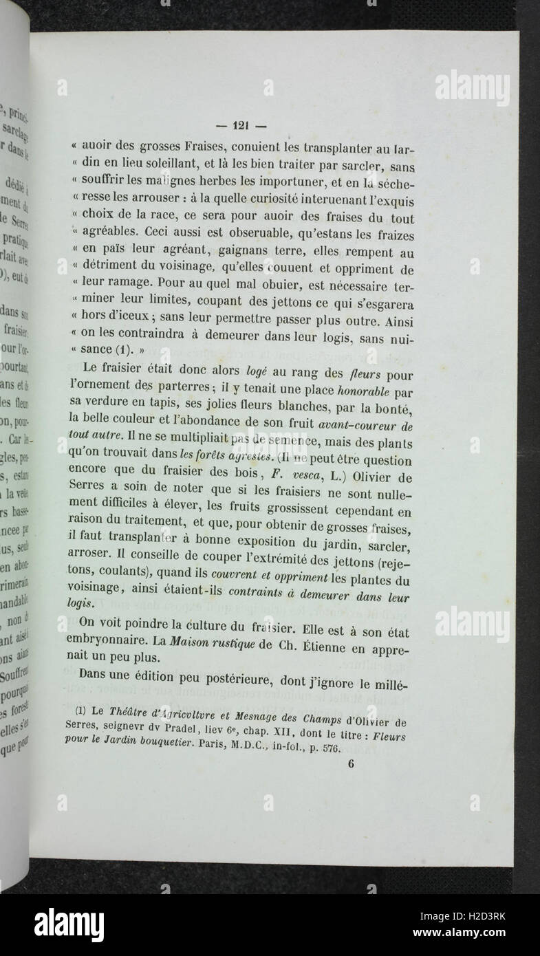 This work focuses on the strawberry plant (Fragaria spp.), detailing ...