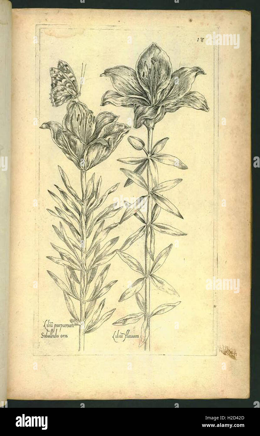 This plate depicts a detailed view of the royal gardens of King Louis ...