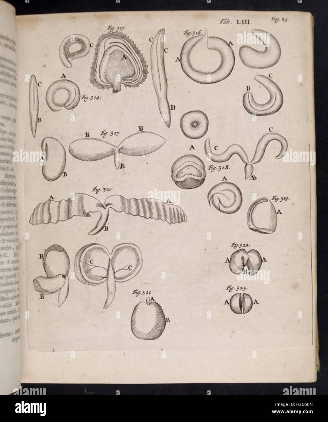 Thesaurus anatomicus hi-res stock photography and images - Alamy