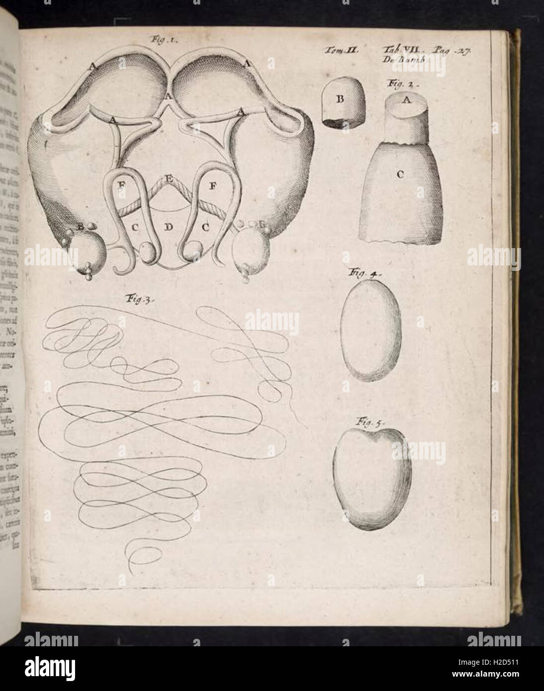 A comprehensive work by Marcellus Malpighi on botany, medicine, and ...