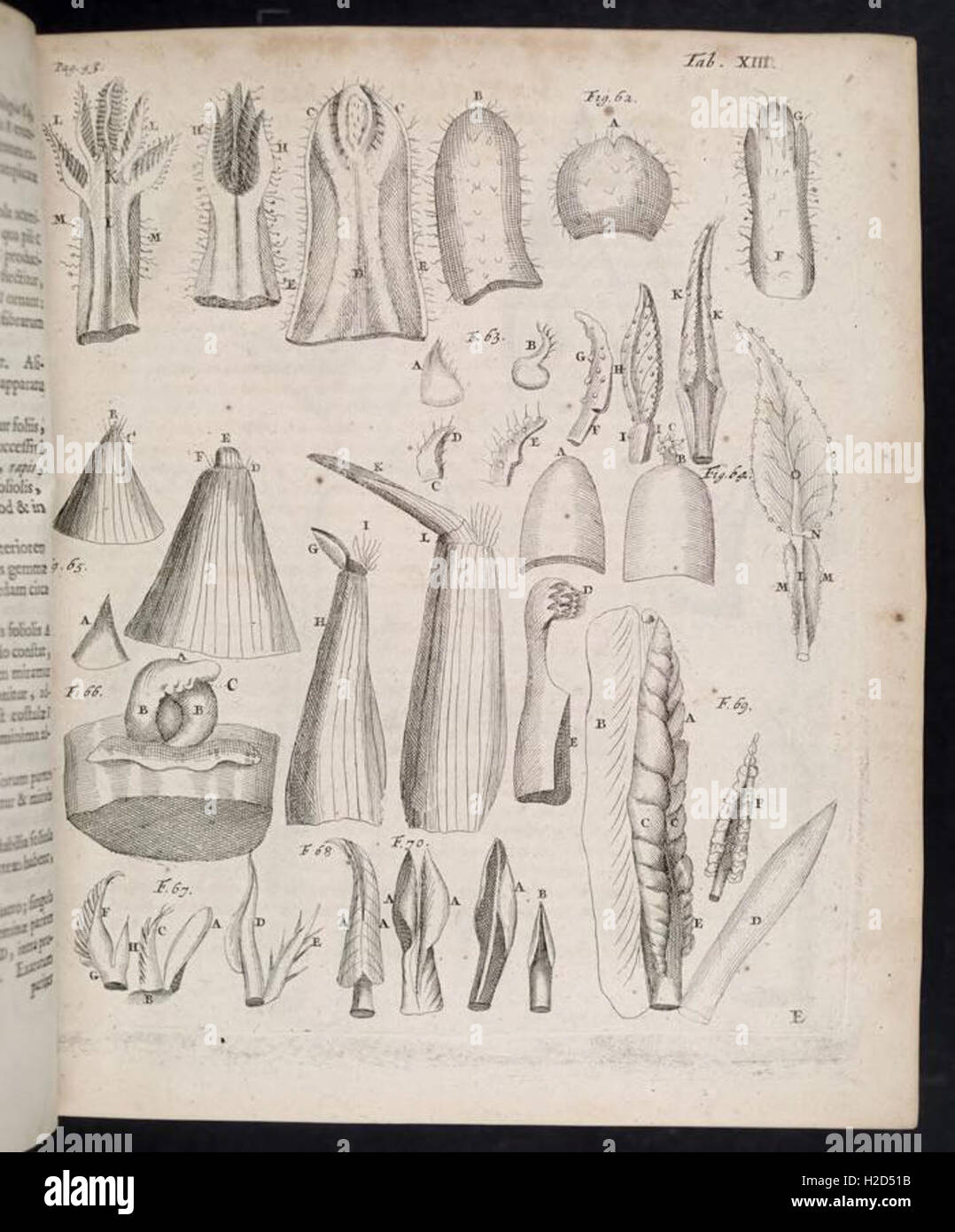 Thesaurus anatomicus hi-res stock photography and images - Alamy