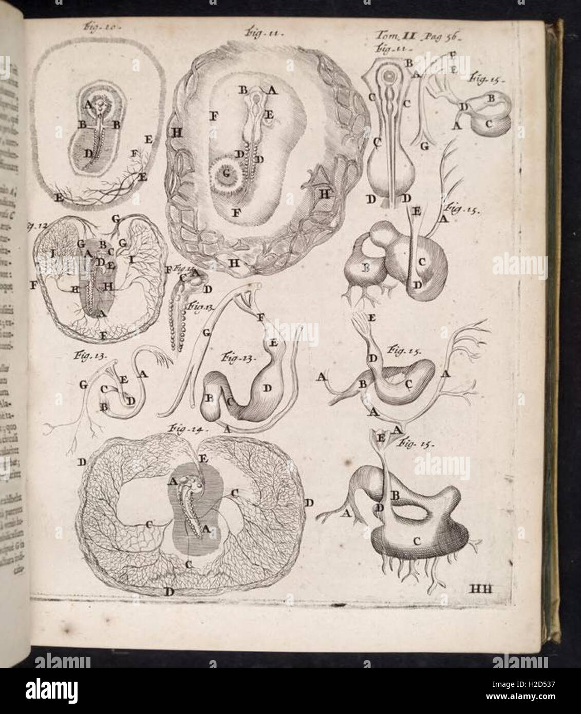 Thesaurus anatomicus hi-res stock photography and images - Alamy