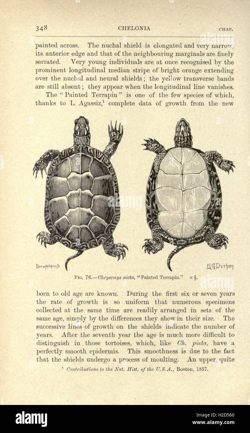 This work provides a detailed study of amphibians and reptiles ...