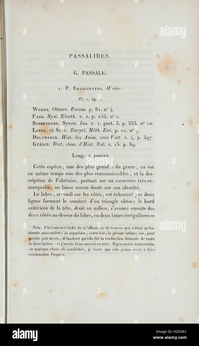 A monograph detailing the Passalidae family of beetles and their ...