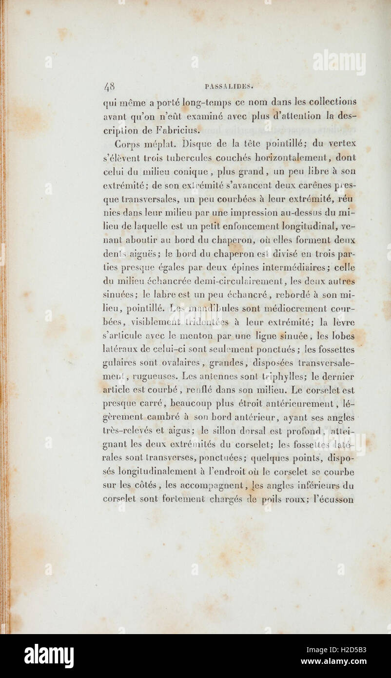 This page presents a monograph on the Passales and related genera. It ...