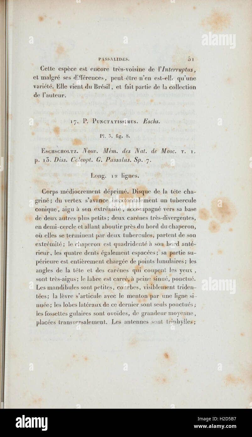 This monograph examines the Passalidae family and its classification ...