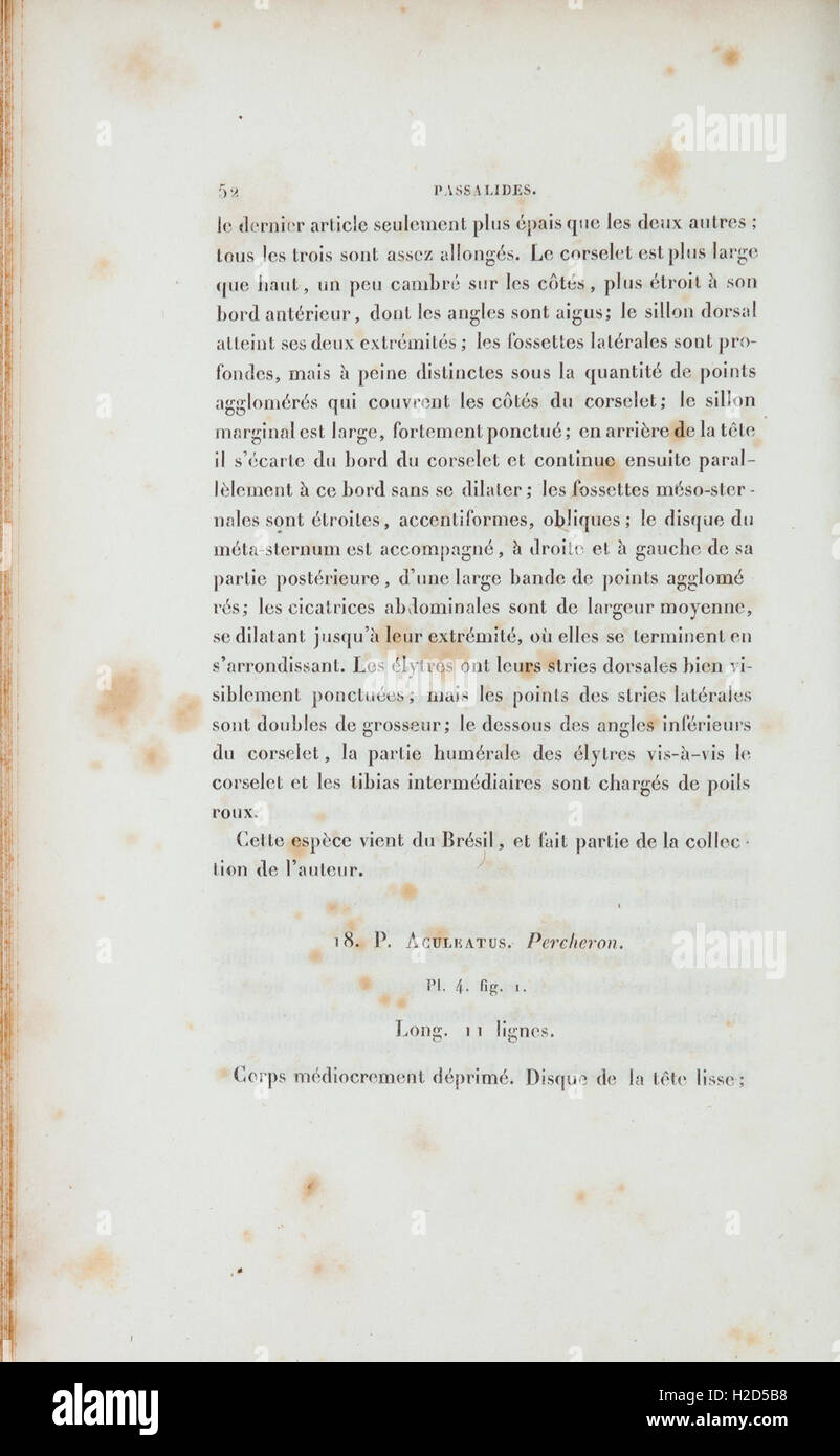 This page from 'Monographie des Passales' details the classification ...