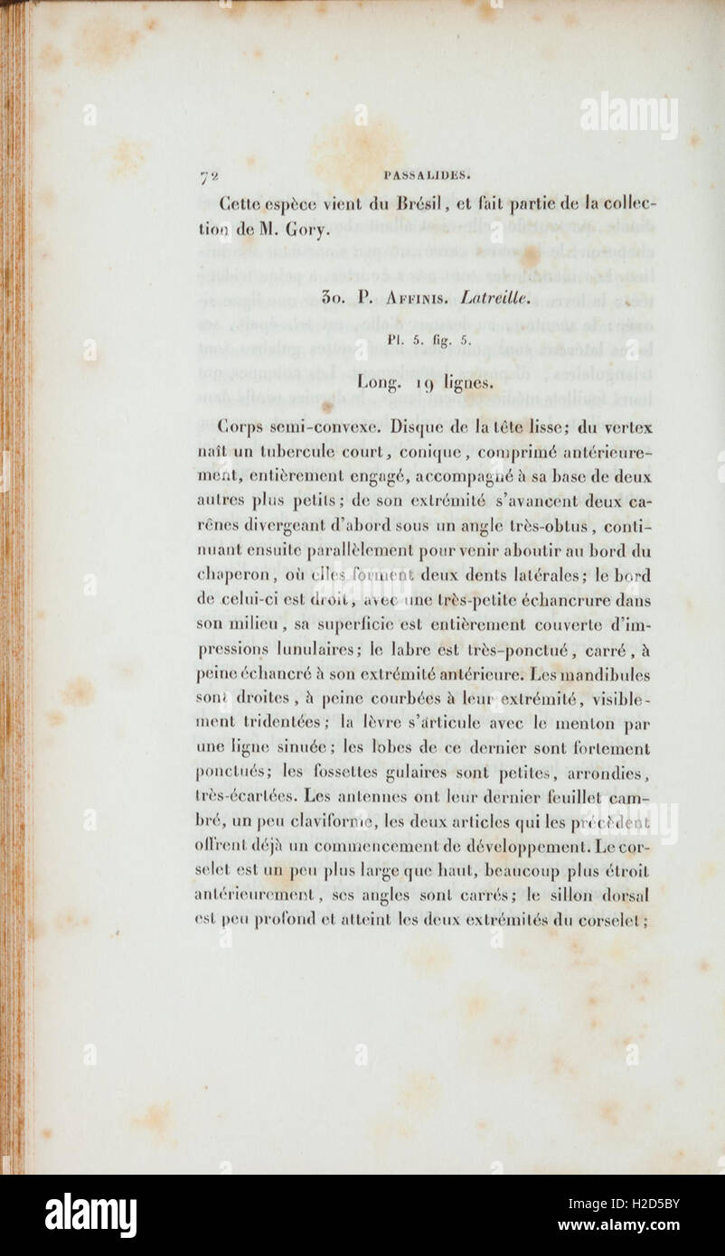 Monographie des passales et des genres qui en ont ete separes (Page 72 ...