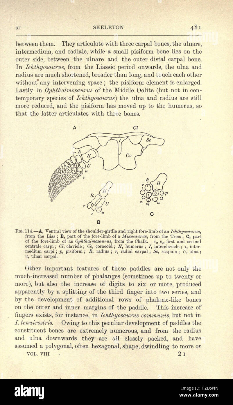 A study of amphibians and reptiles, featuring species analysis and ...