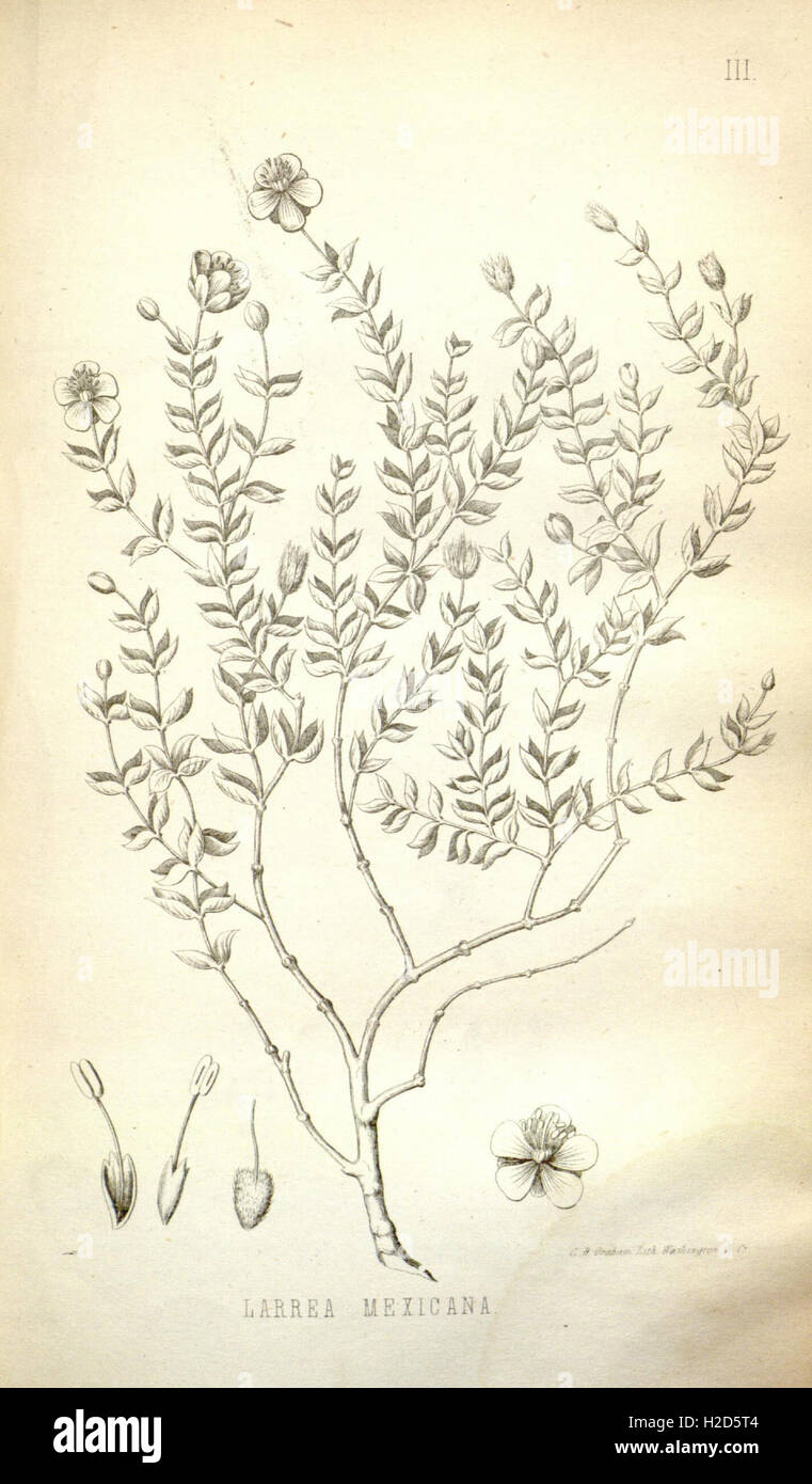 A military reconnaissance report detailing the journey from Fort ...