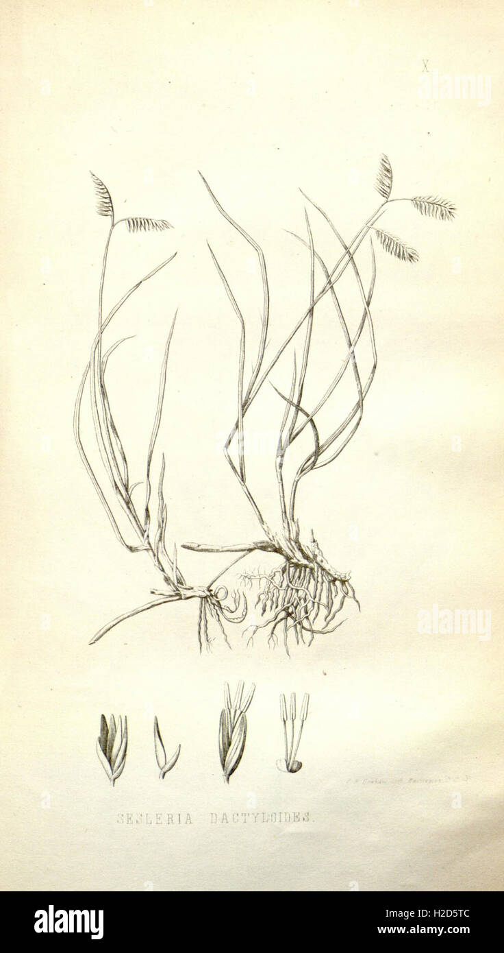 This military reconnaissance report describes the journey from Fort ...