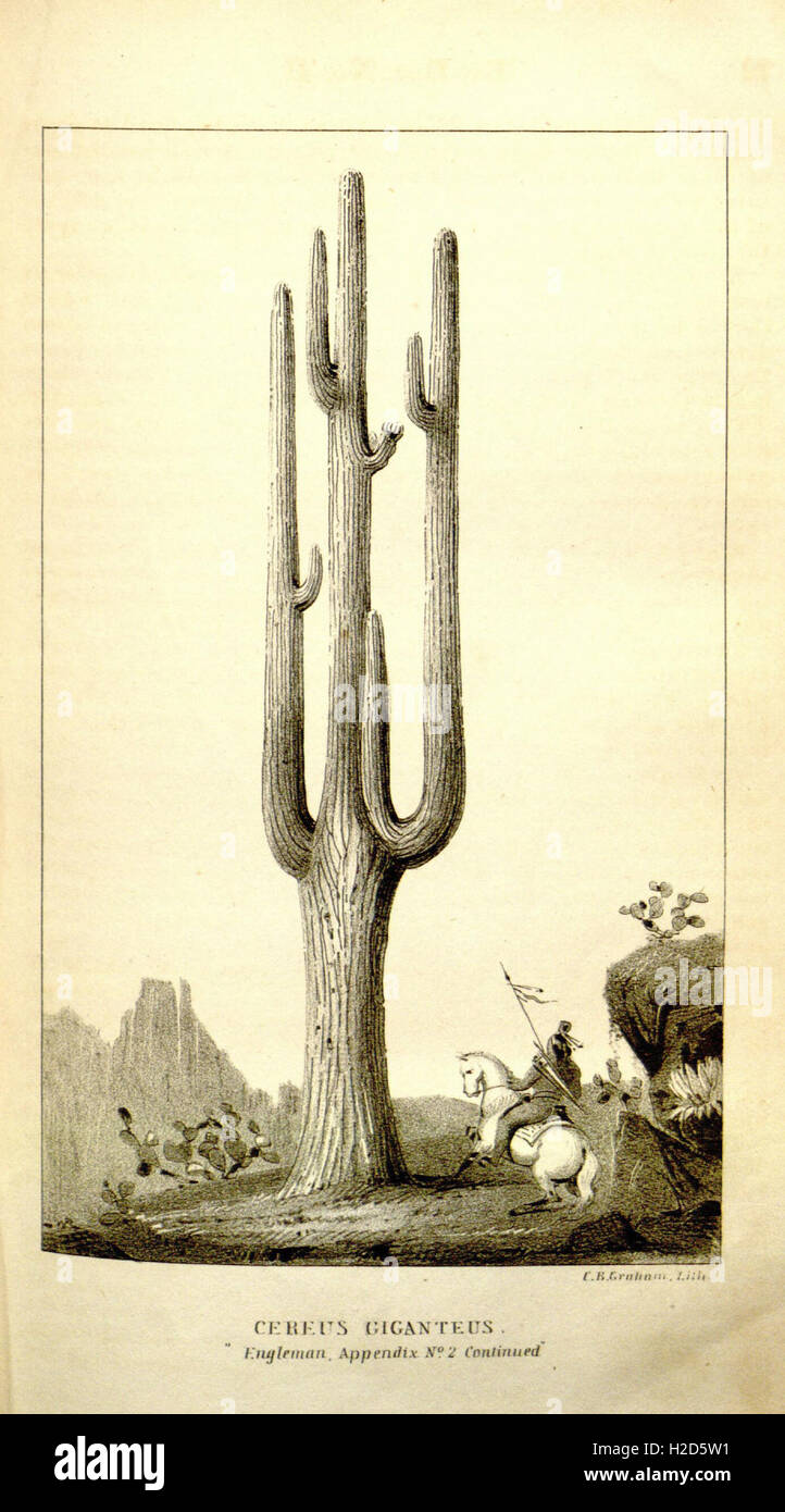 This military report details the reconnaissance journey from Fort ...