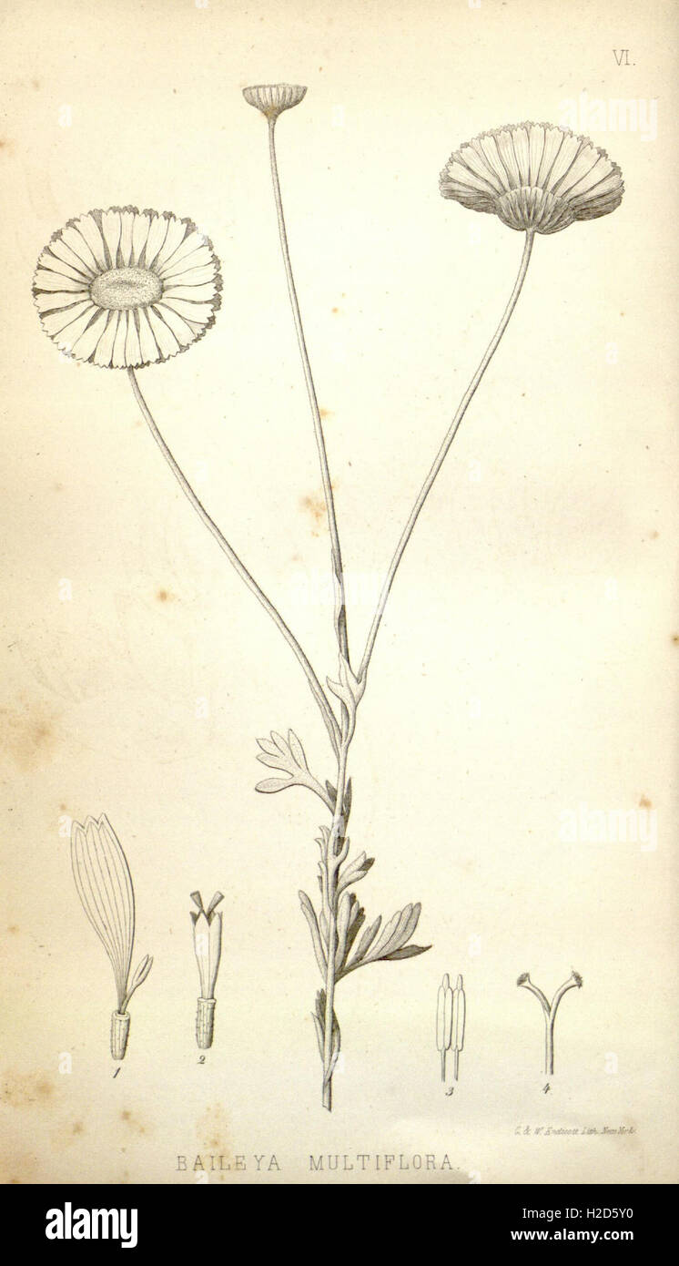 This document presents notes and illustrations from a military ...