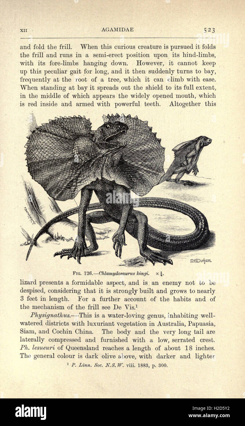 This work provides detailed information on amphibians and reptiles ...