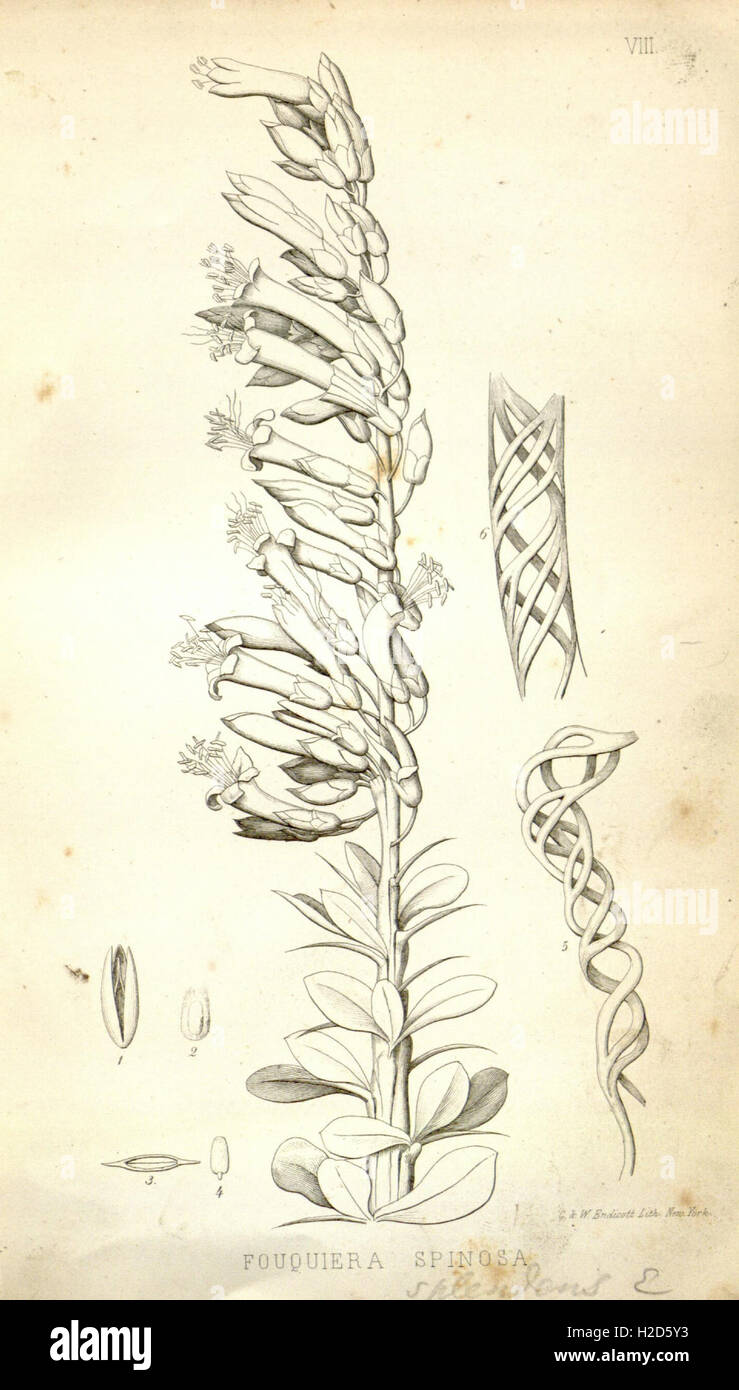 A military reconnaissance report featuring maps and observations from ...