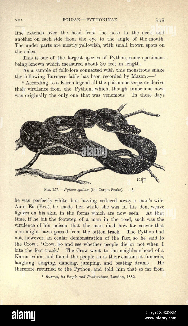 A comprehensive study of amphibians and reptiles, including classification, behavior, and ...