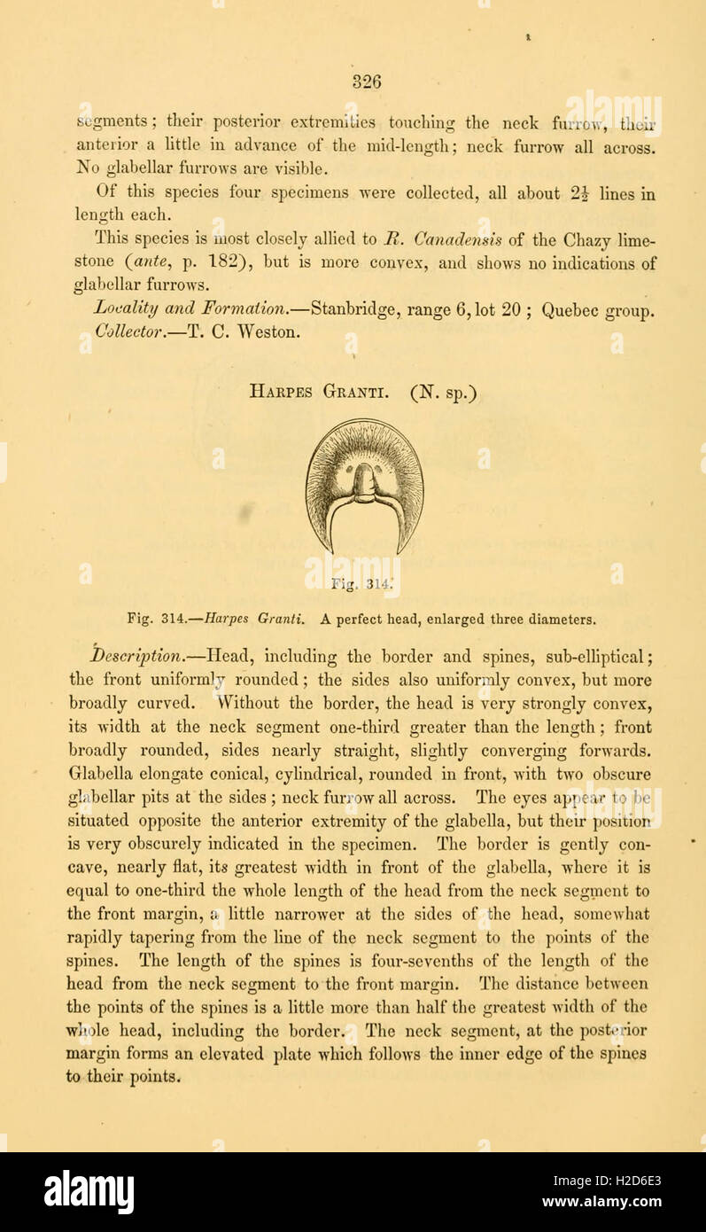 A catalog of Paleozoic fossils, detailing their geological context ...
