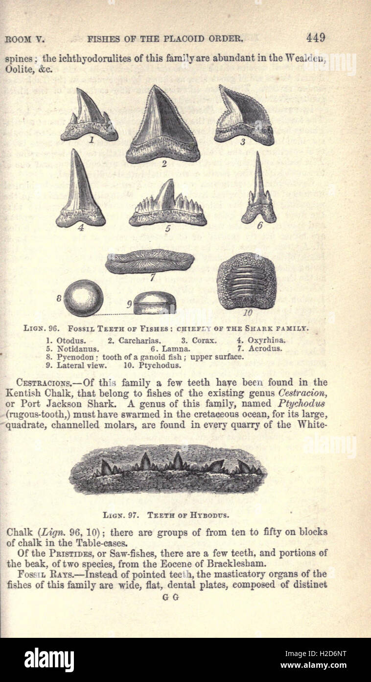 This book provides a detailed guide to petrified organic remains ...