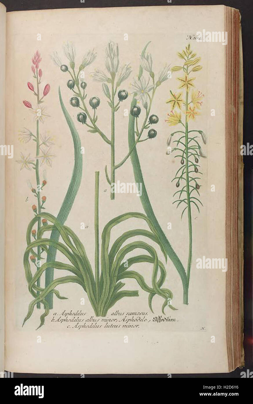 This work presents detailed illustrations and descriptions of various ...