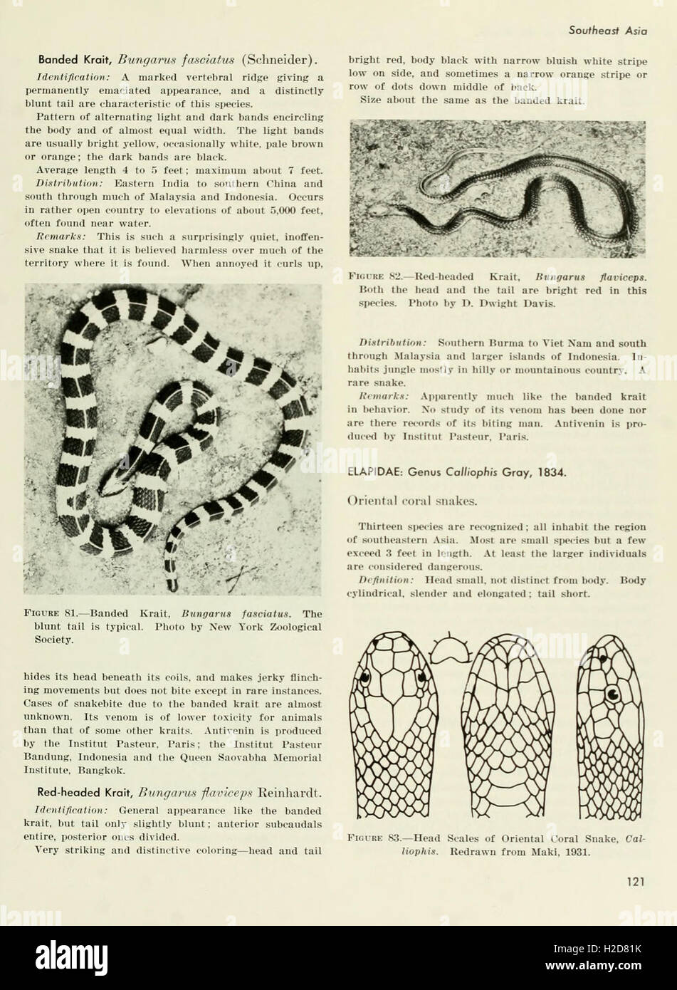 A comprehensive examination of poisonous snake species worldwide ...