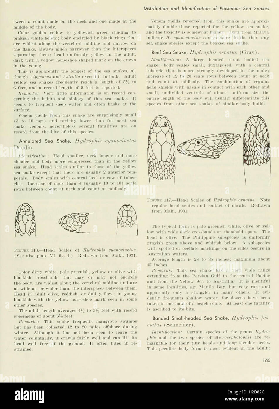 An informative guide detailing the various species of poisonous snakes ...