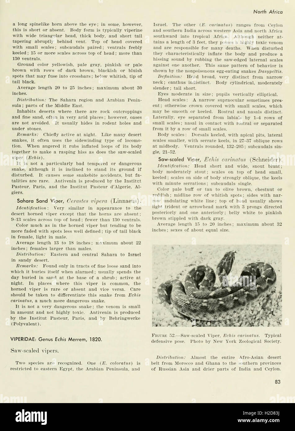 An overview of the world's poisonous snake species, detailing their ...