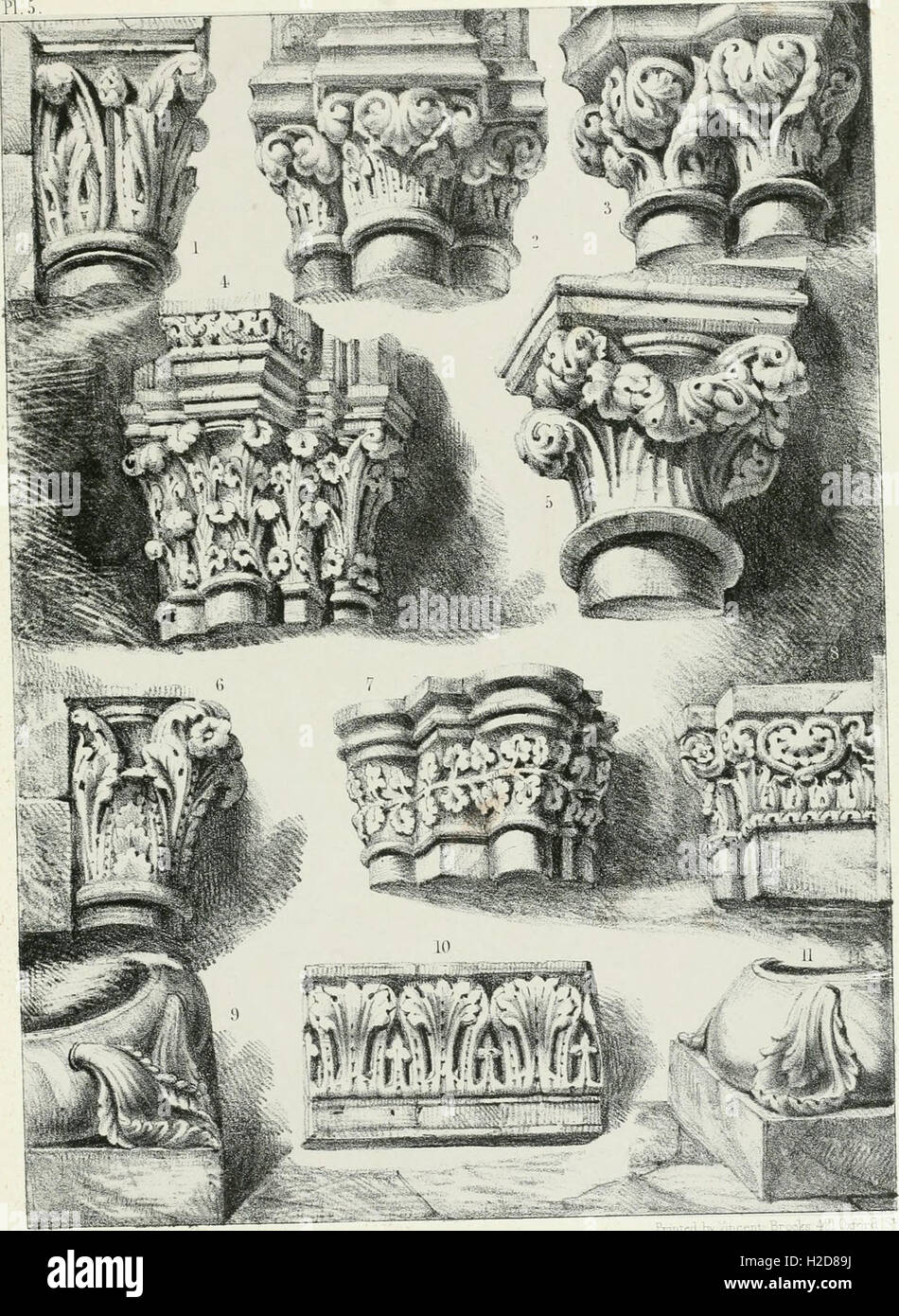 This work explores the development of art and architecture, detailing ...