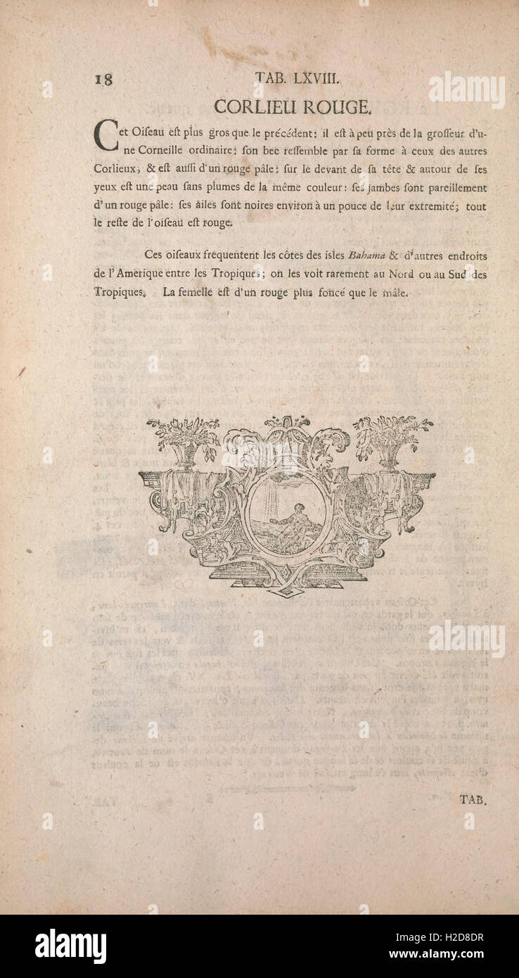 This work presents a collection of rare and uncommon foreign bird ...