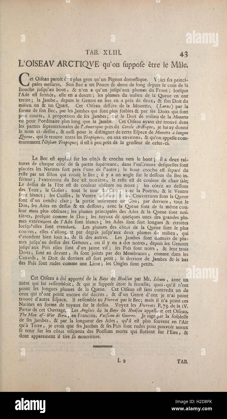 A collection of rare and exotic bird species, focusing on their ...