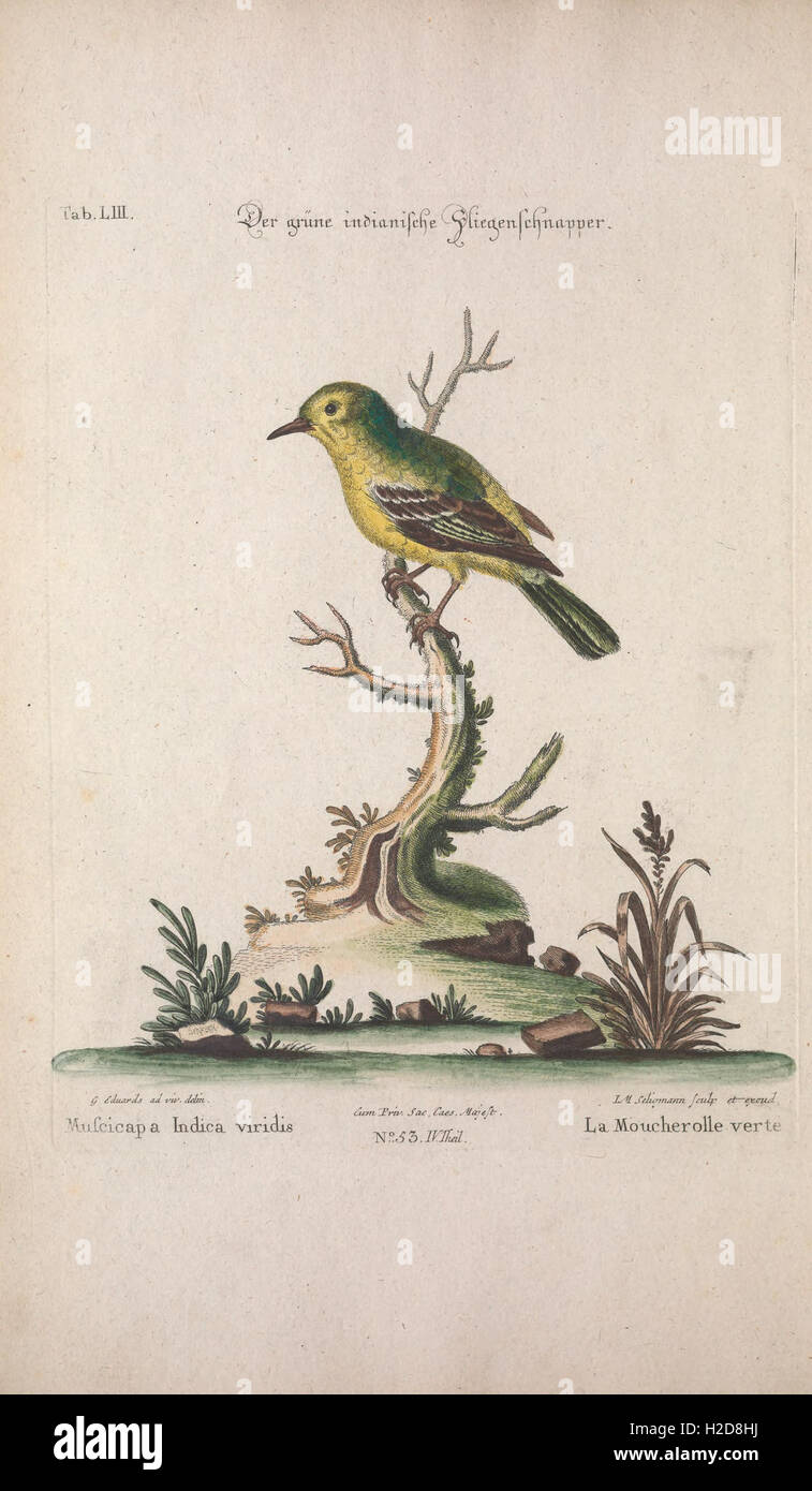 A collection of illustrations and descriptions of rare and foreign bird ...