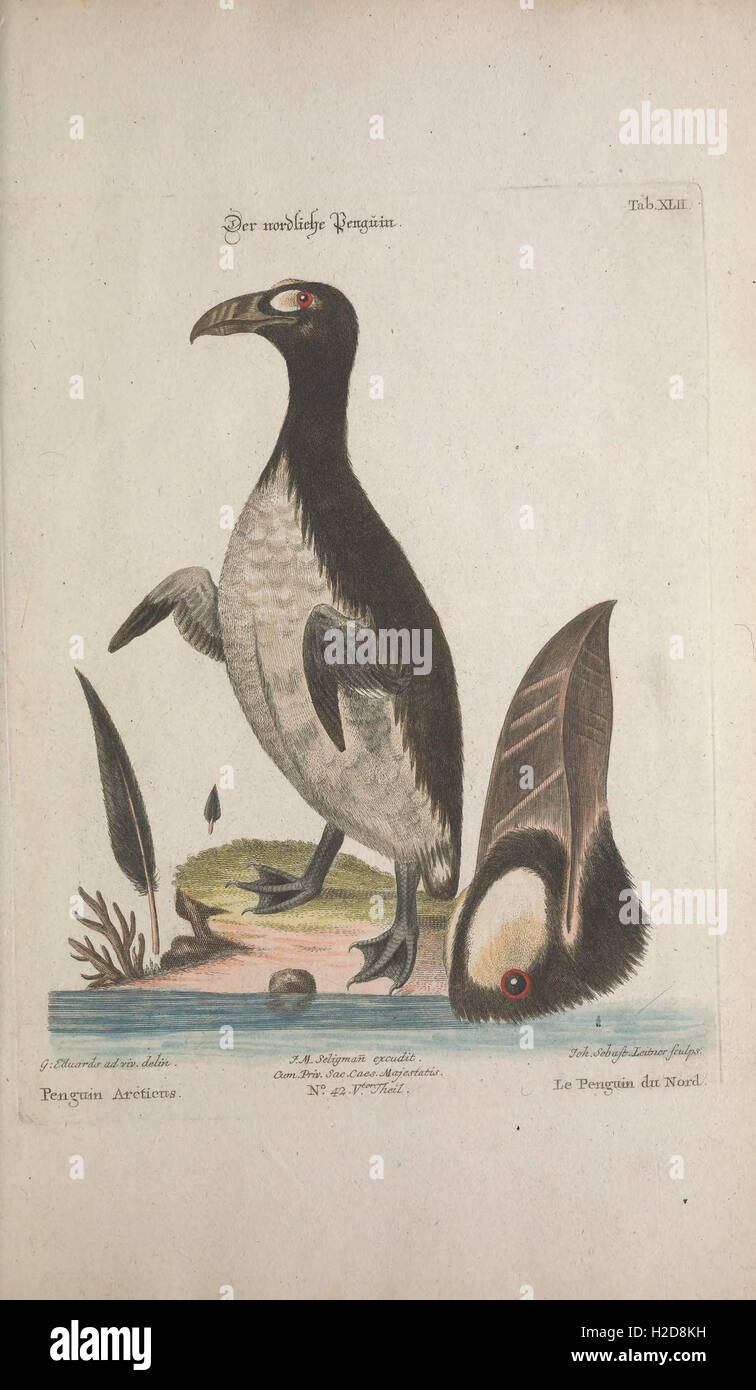 A collection of rare and exotic bird species, featuring detailed ...