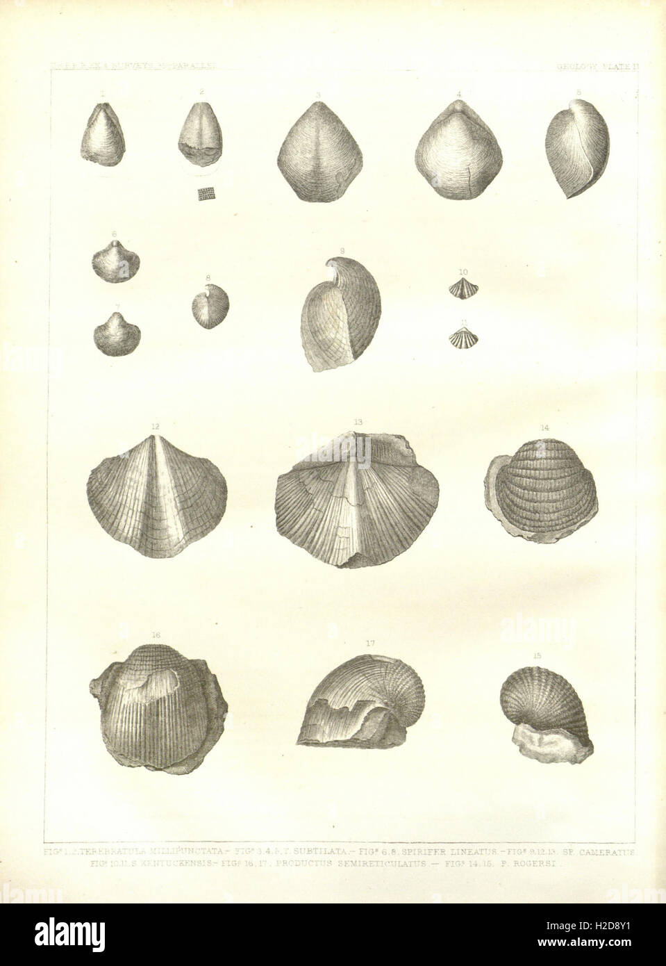 This document details the findings of various explorations and surveys ...