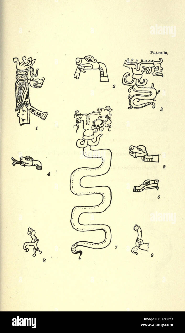 This work examines the animal depictions in the Maya codices, exploring ...