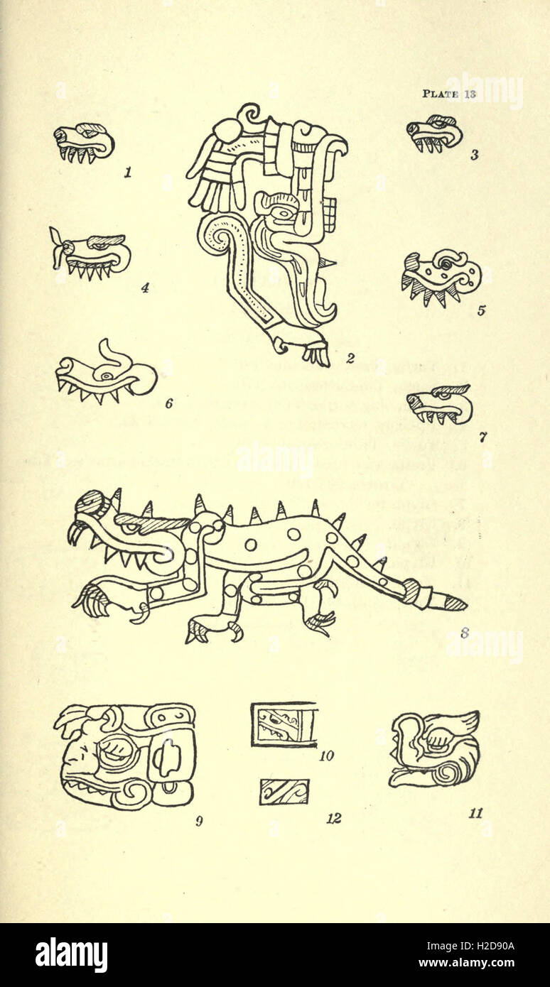 This work presents detailed animal figures from the Maya codices ...