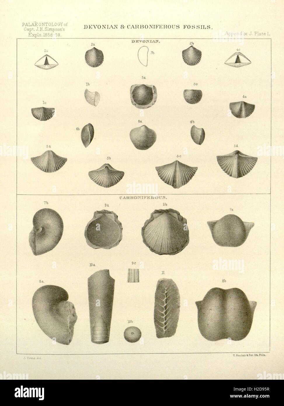 Plate I of the report provides a detailed map and findings from an ...