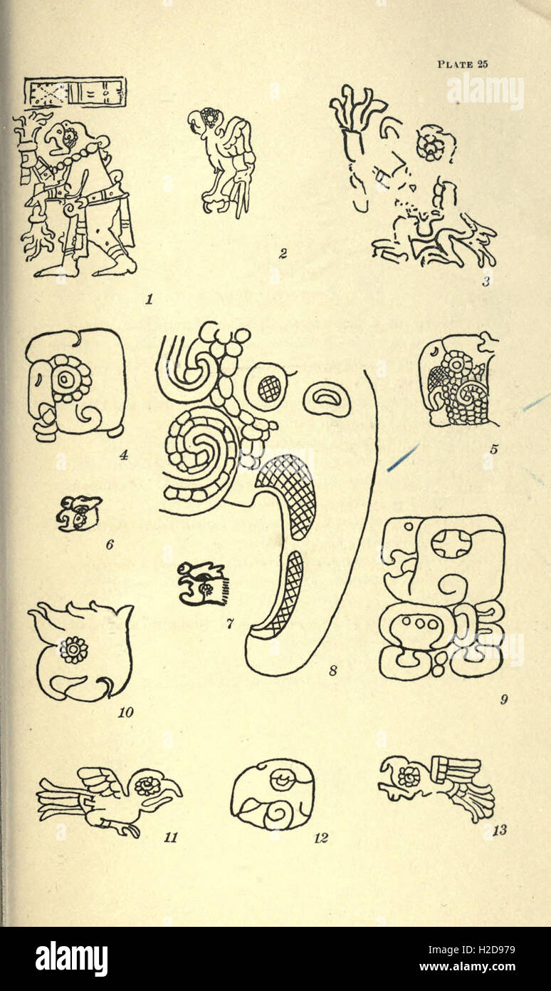 Animal figures in the Maya codices (Plate 25 Stock Photo - Alamy