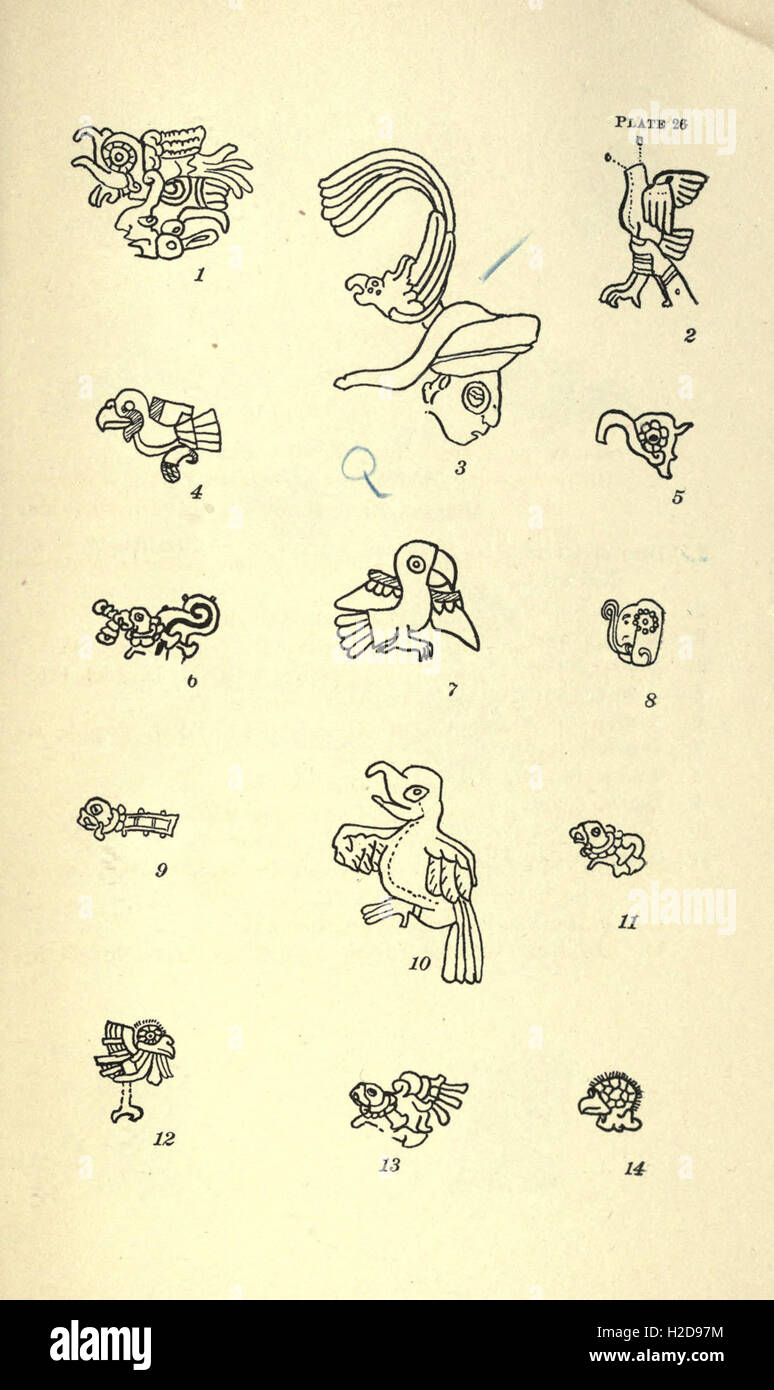 This plate from the Maya codices illustrates various animal figures ...