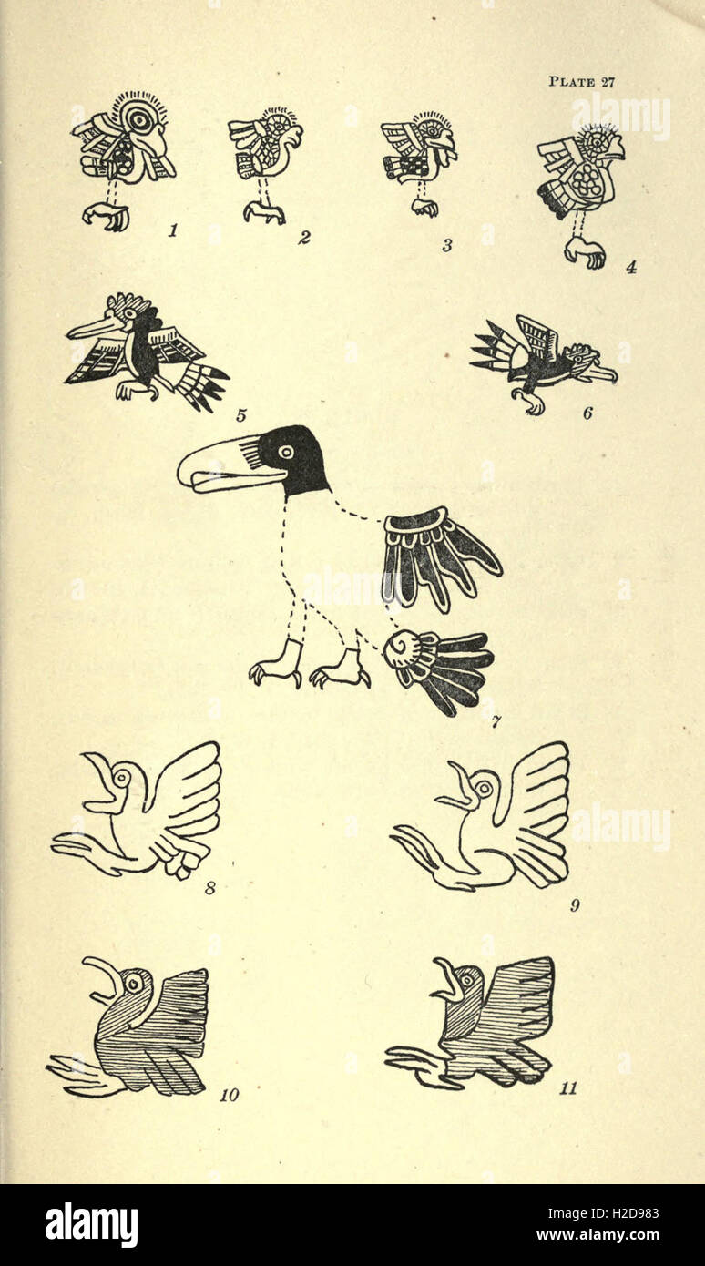 This plate illustrates various animal figures depicted in Maya codices ...