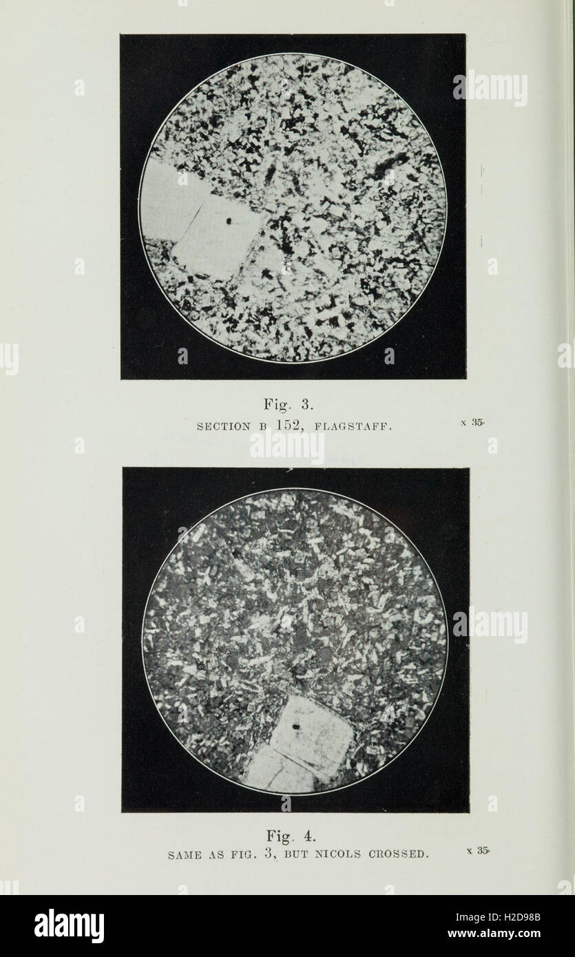 The report of the Australasian Association for the Advancement of ...